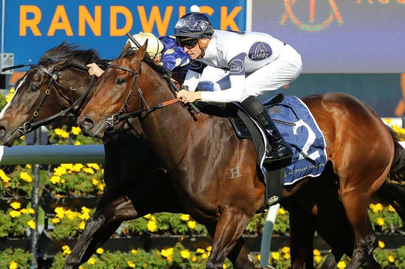 Randwick: Four winners catapults Dylan Gibbons into apprentice title lead