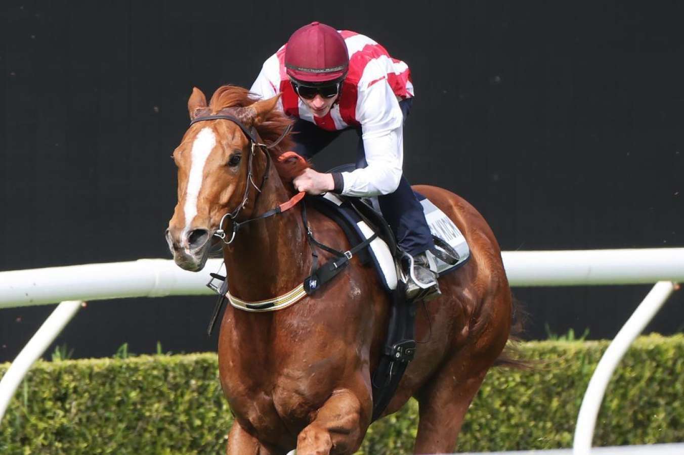 Spring carnival barrier trials review from Randwick