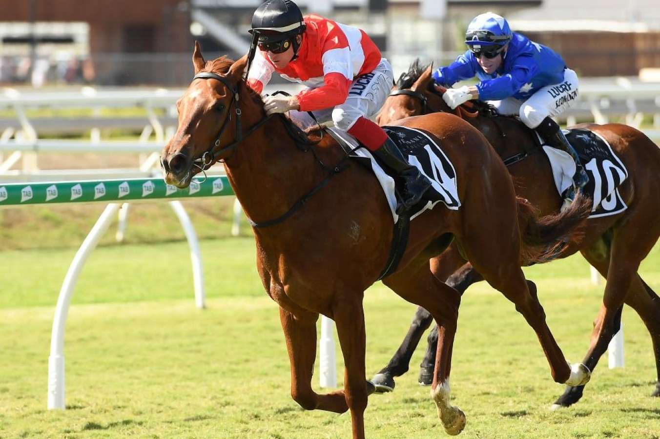 Ginger Rock ready to fire at Doomben following setbacks