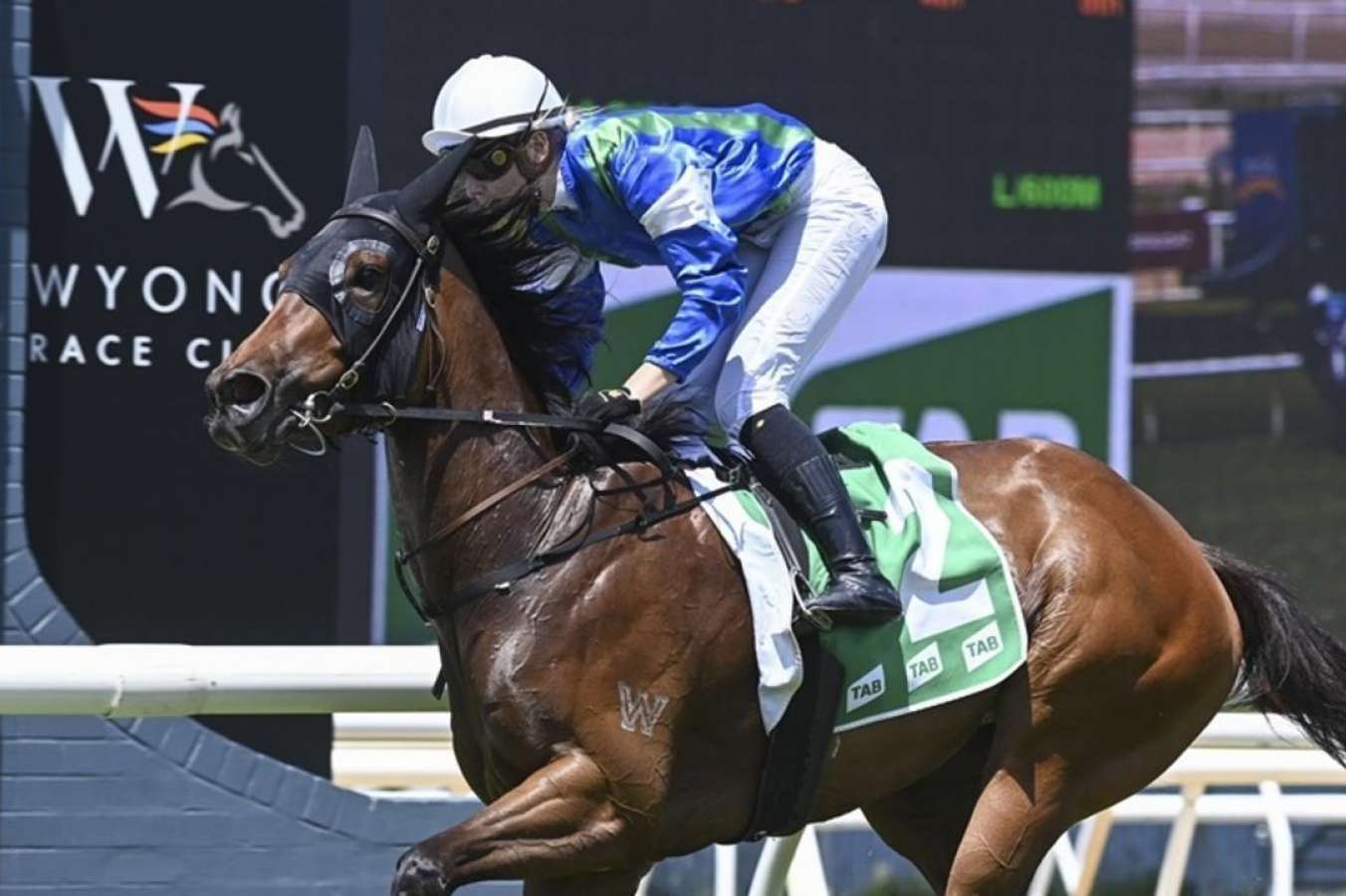 'Crazy' mare gives trainer big thrill after debut win