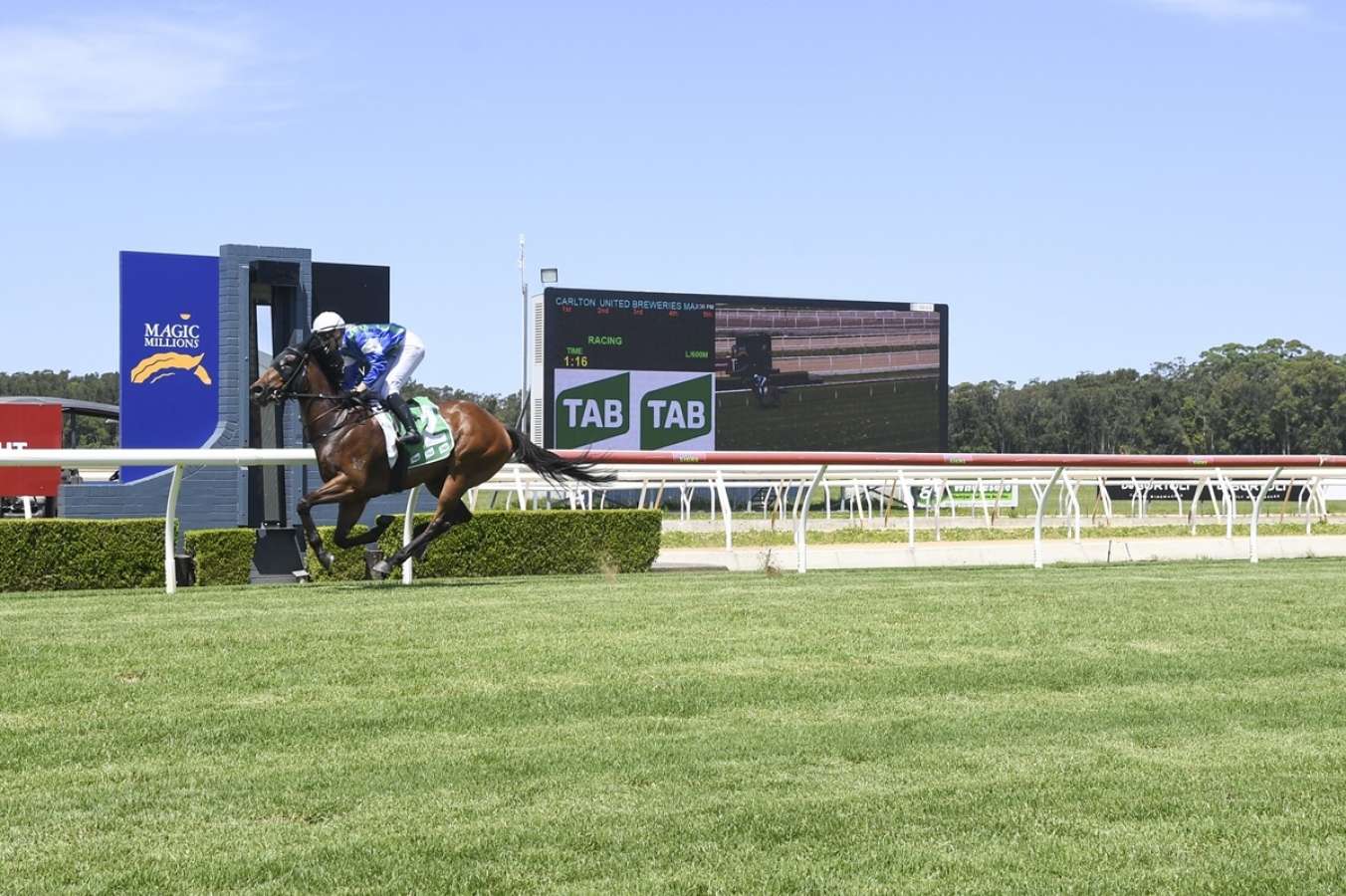 'She's a bit of a nutcase': Martin mare chases winning hat-trick