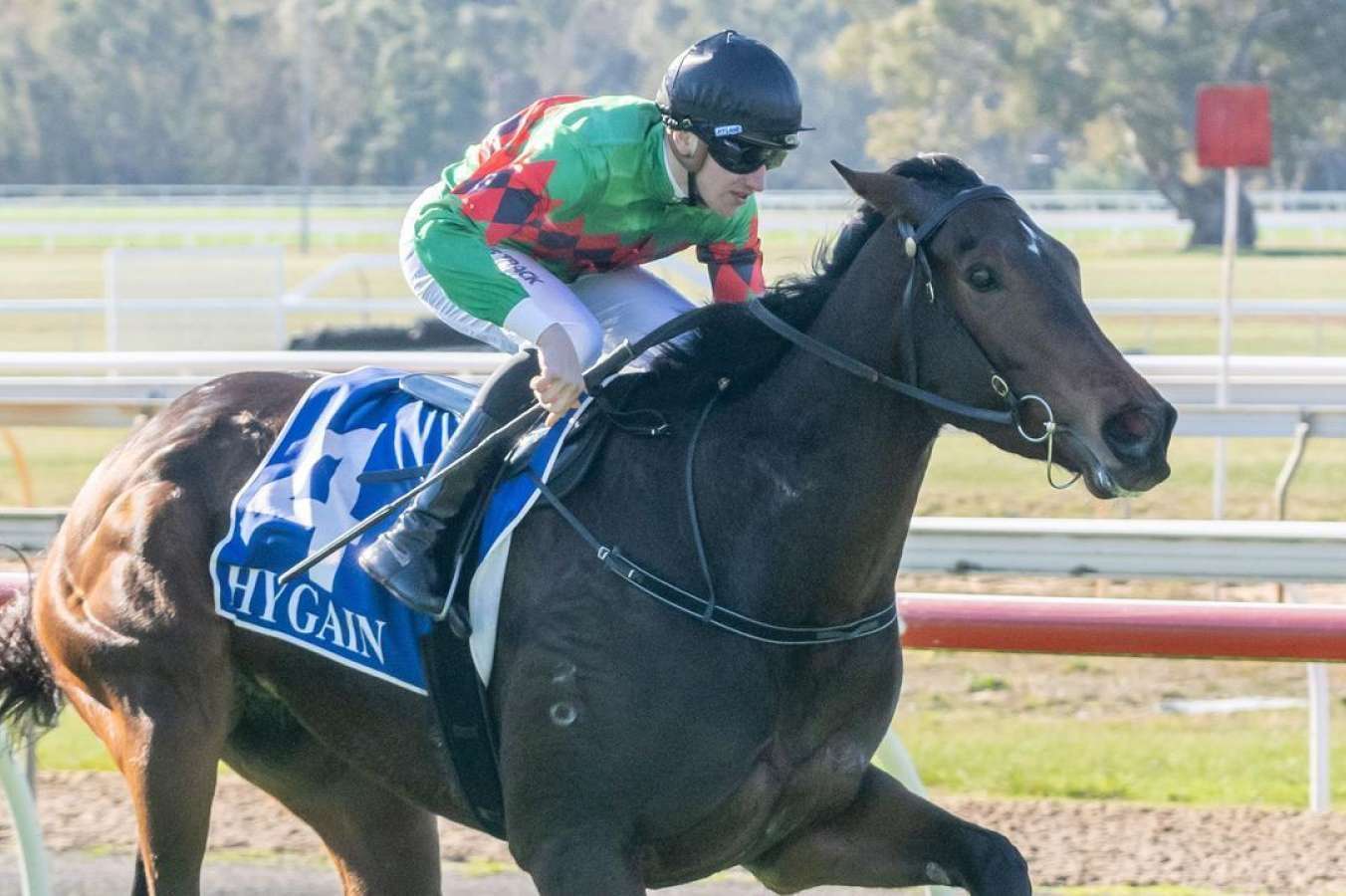 Best bets and expert tips for Pakenham races Friday