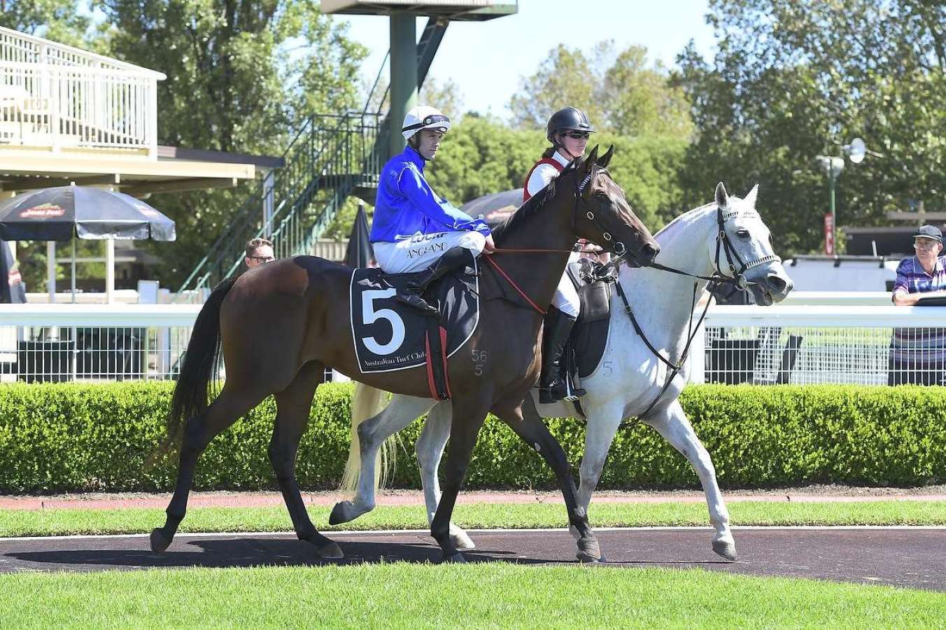 Gododdin off the mark for Godolphin