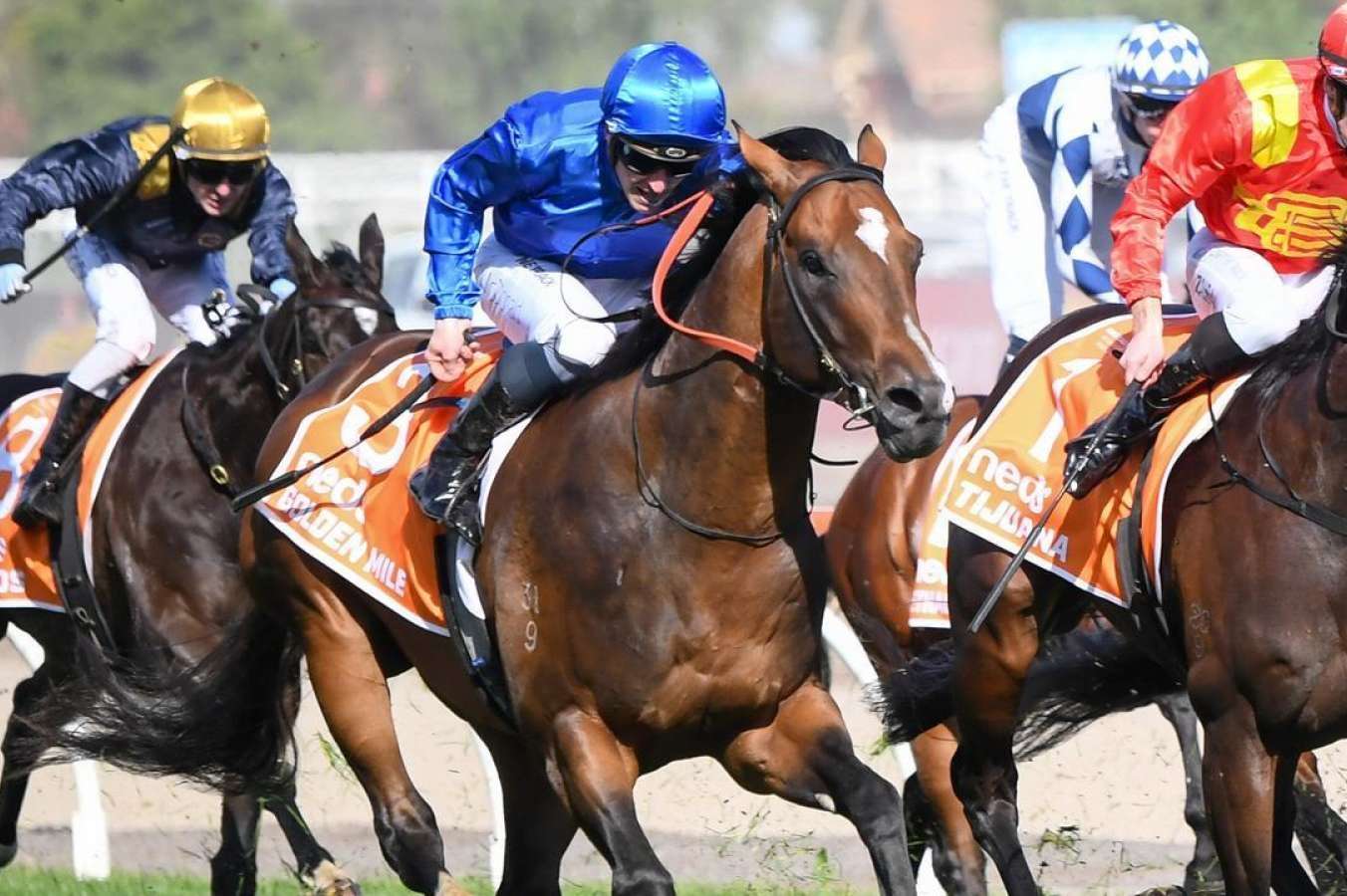 Golden Mile following Anamoe trail with return in Expressway Stakes