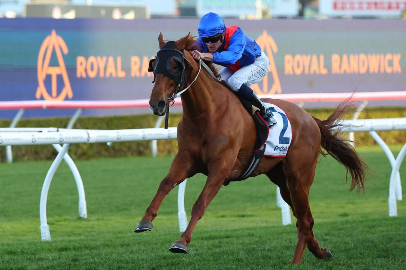 2025 Apollo Stakes: Golden Path to be set on Group 1 mission