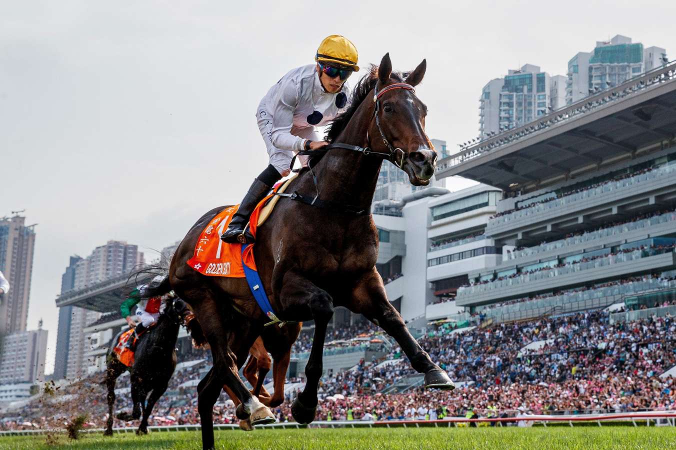 Dam of Golden Sixty set to be sold as breeder Element Hill Stud disperses