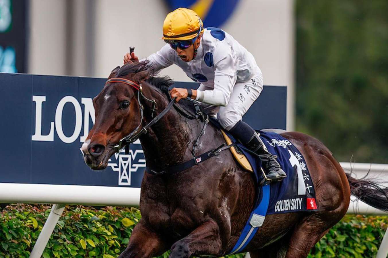 Hong Kong champion Golden Sixty retires