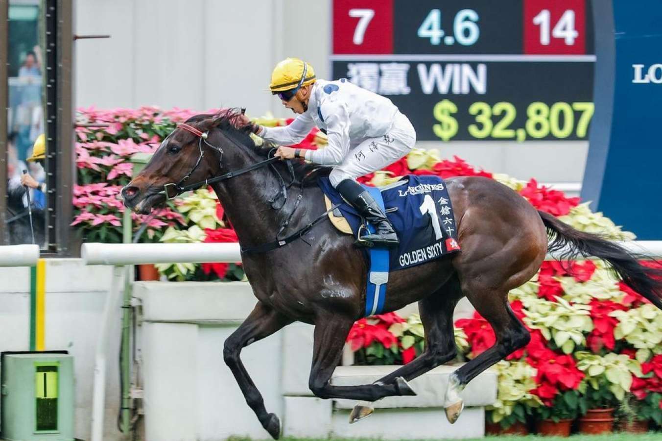 Golden Sixty's breeder reflects on time with equine star