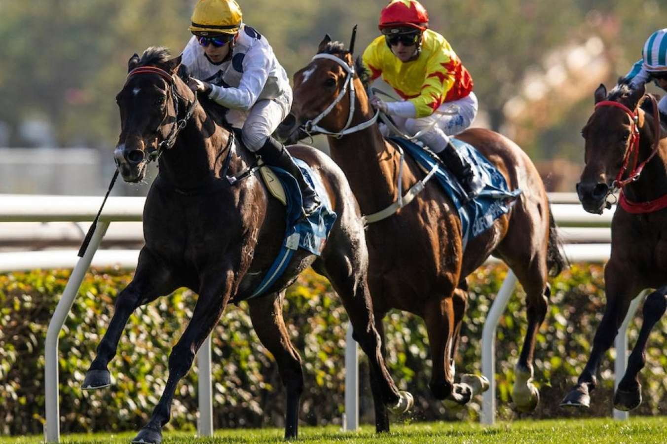 Superstar Golden Sixty readies for probable Hong Kong International ...