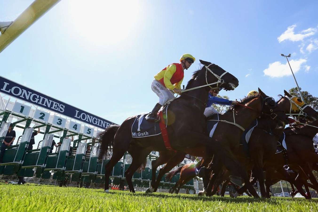 Facts and figures of the history of the Golden Slipper