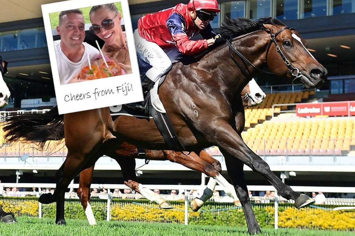 Trainer Tony Gollan breaks record for most Brisbane metro winners