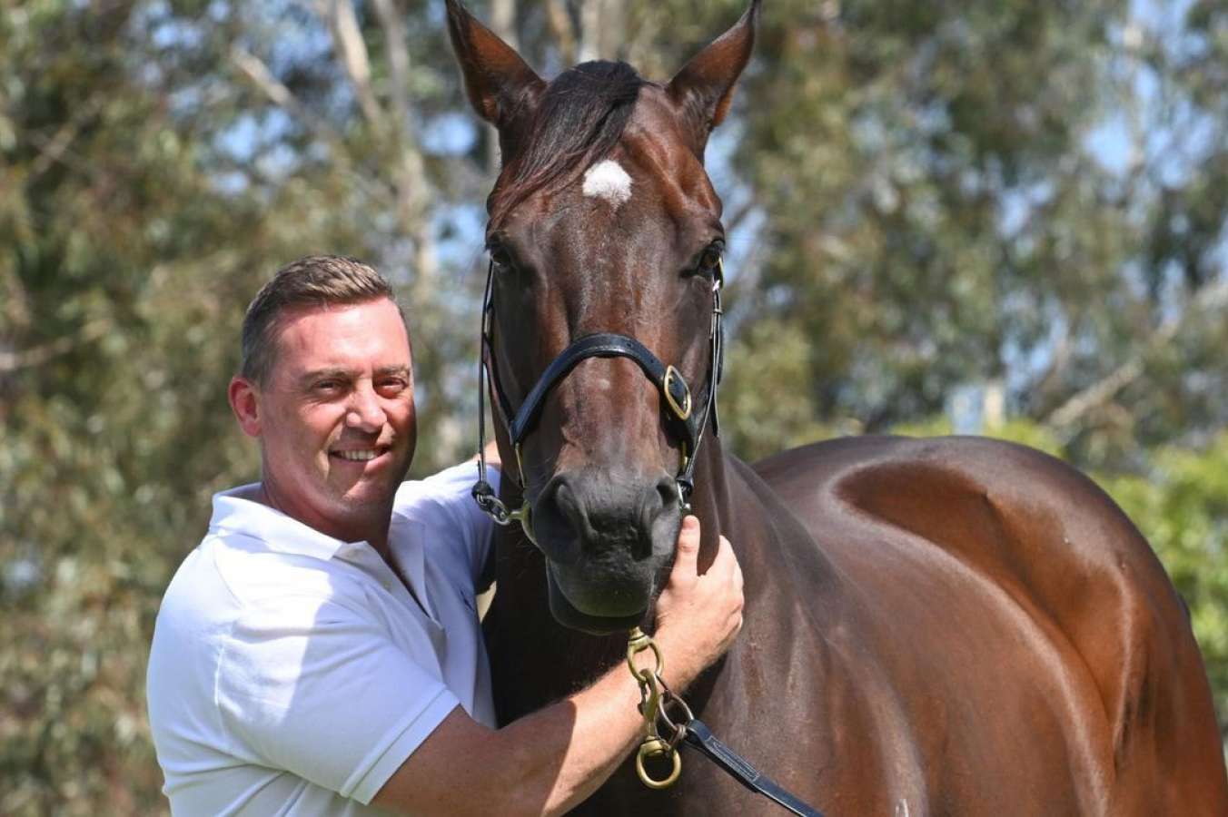 Tony Gollan sprinter Baller 'over the odds' in Sydney return
