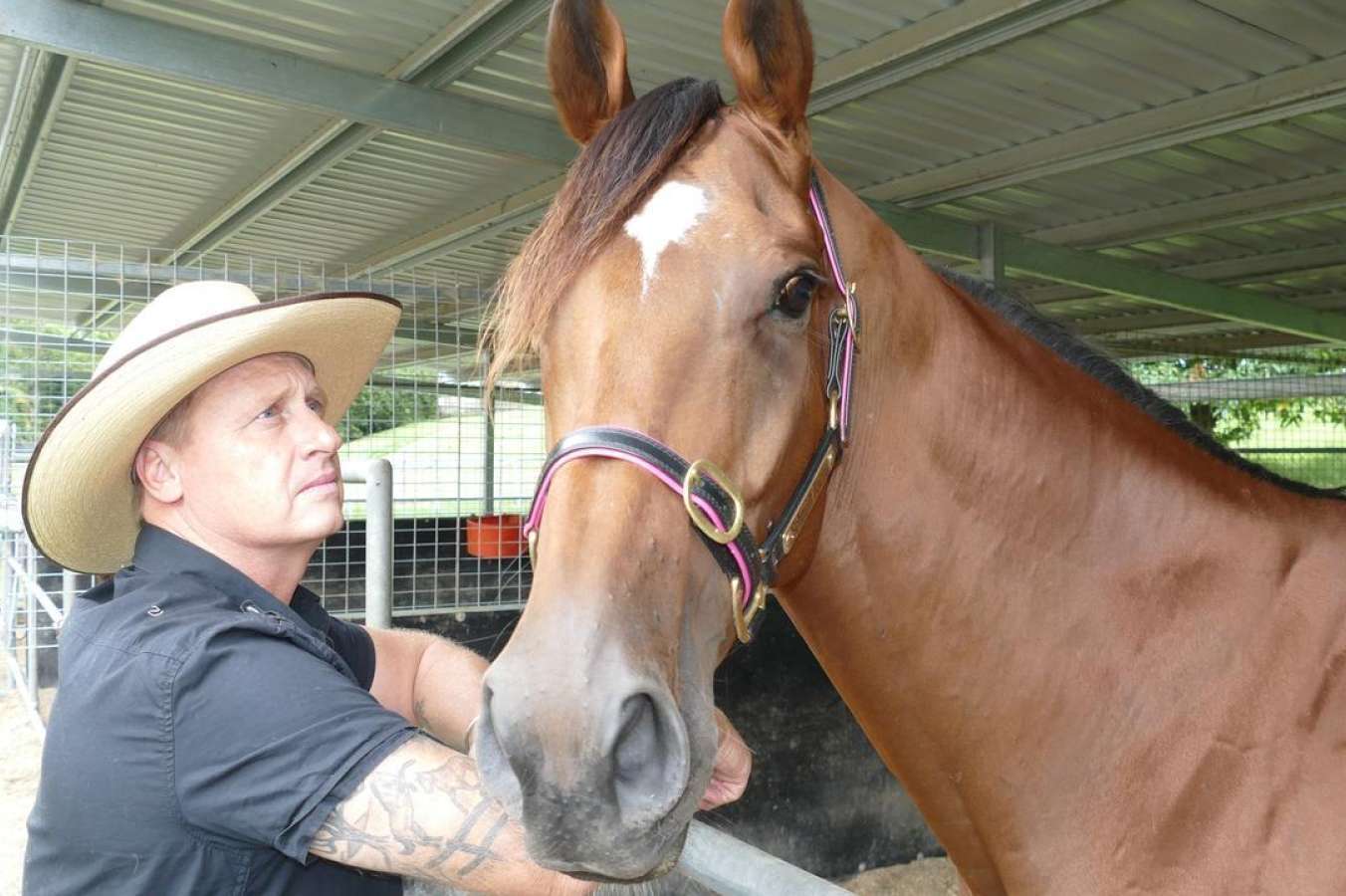 NSW horse trainer suspended over rape allegations