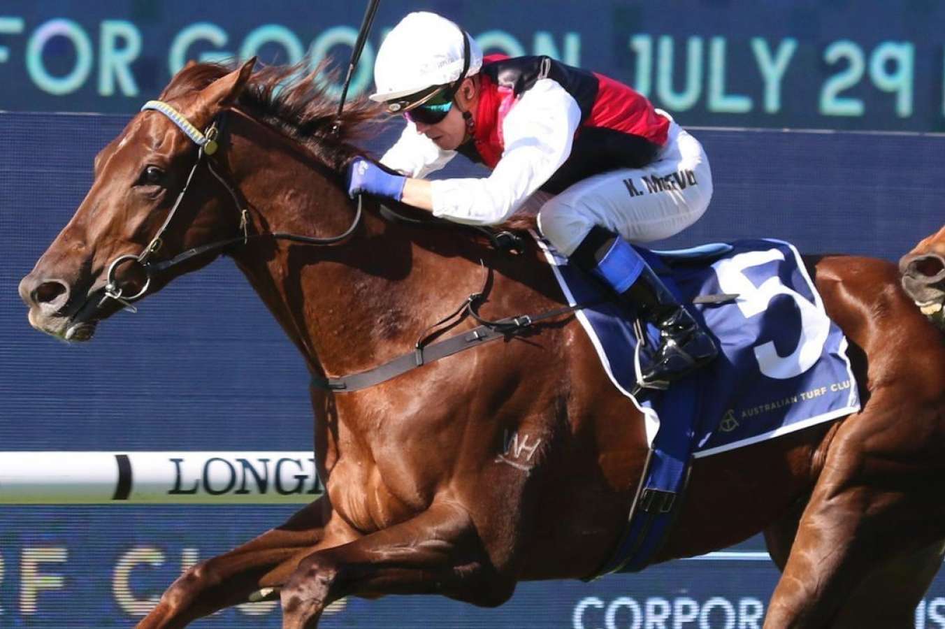 Gerald Ryan confident Grebeni can shine in Festival Stakes