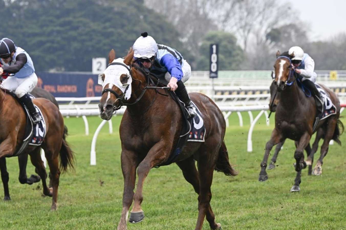 Miss wow leak porn this woman 's just stunning with a