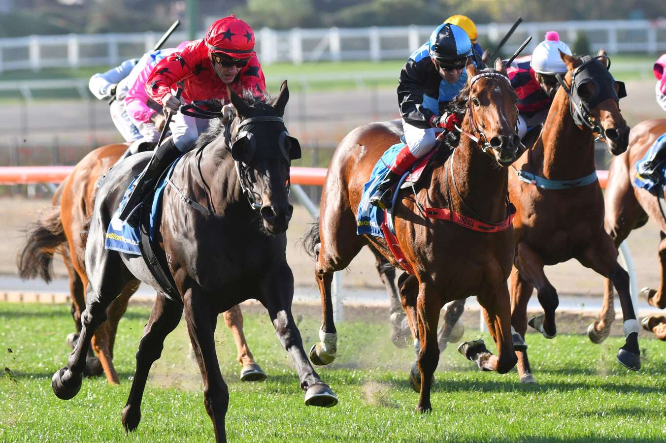 Greviste chasing back-to-back city wins