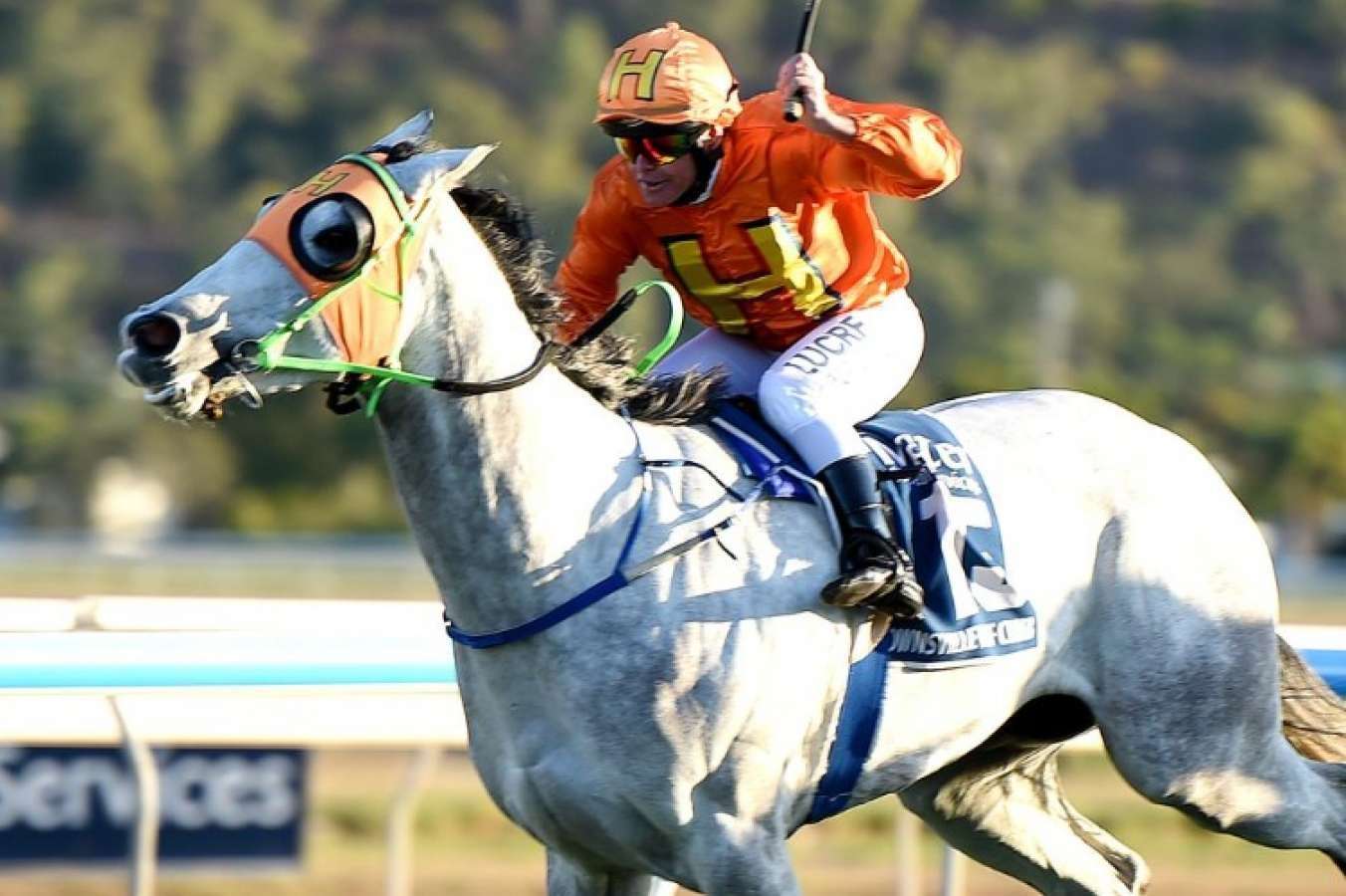 Last launch for Grey Missile in Townsville?