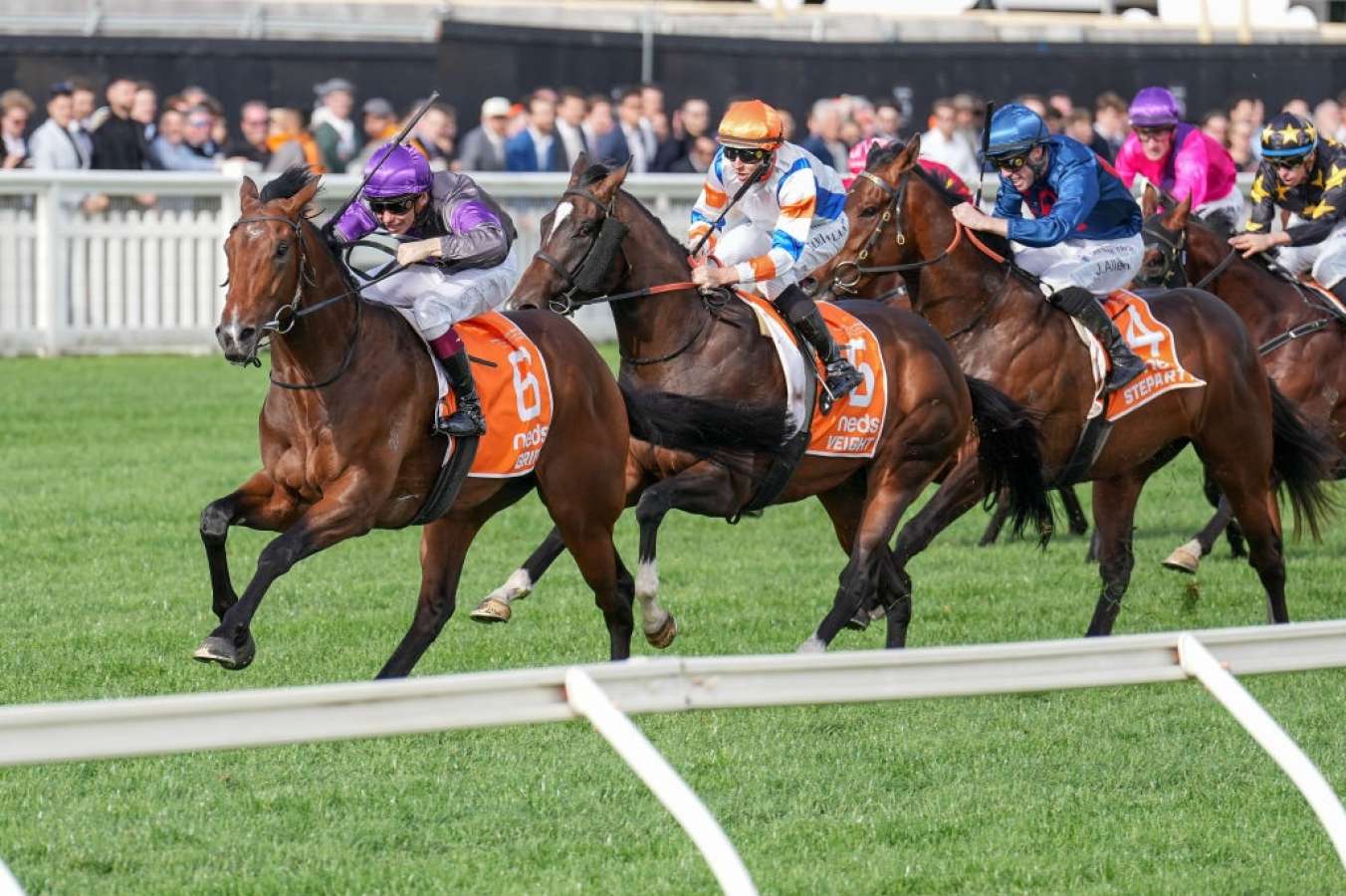 Caulfield Guineas Field - 2024