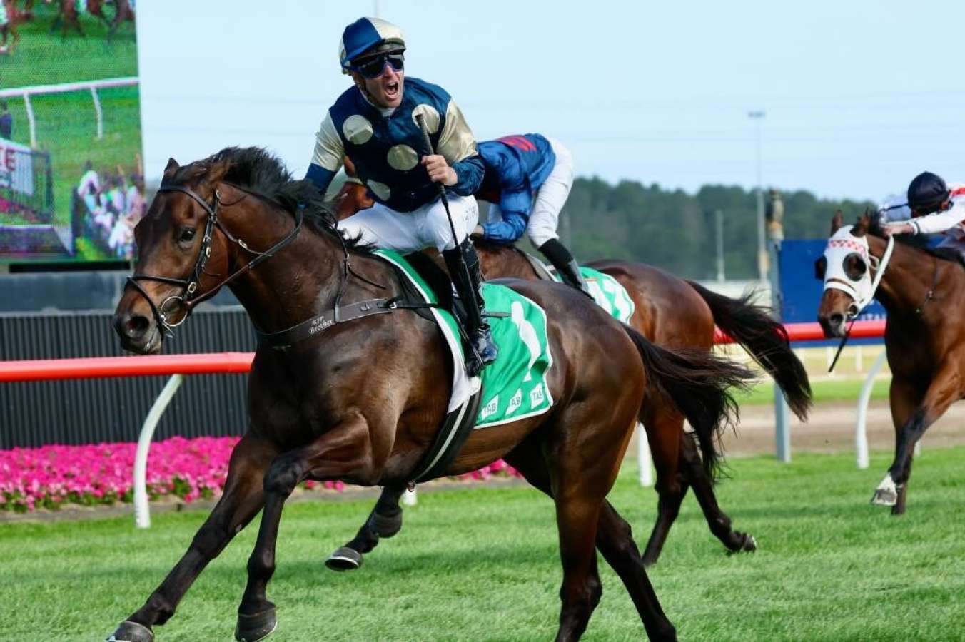 Big bets review: $100,000 profit on The Gong