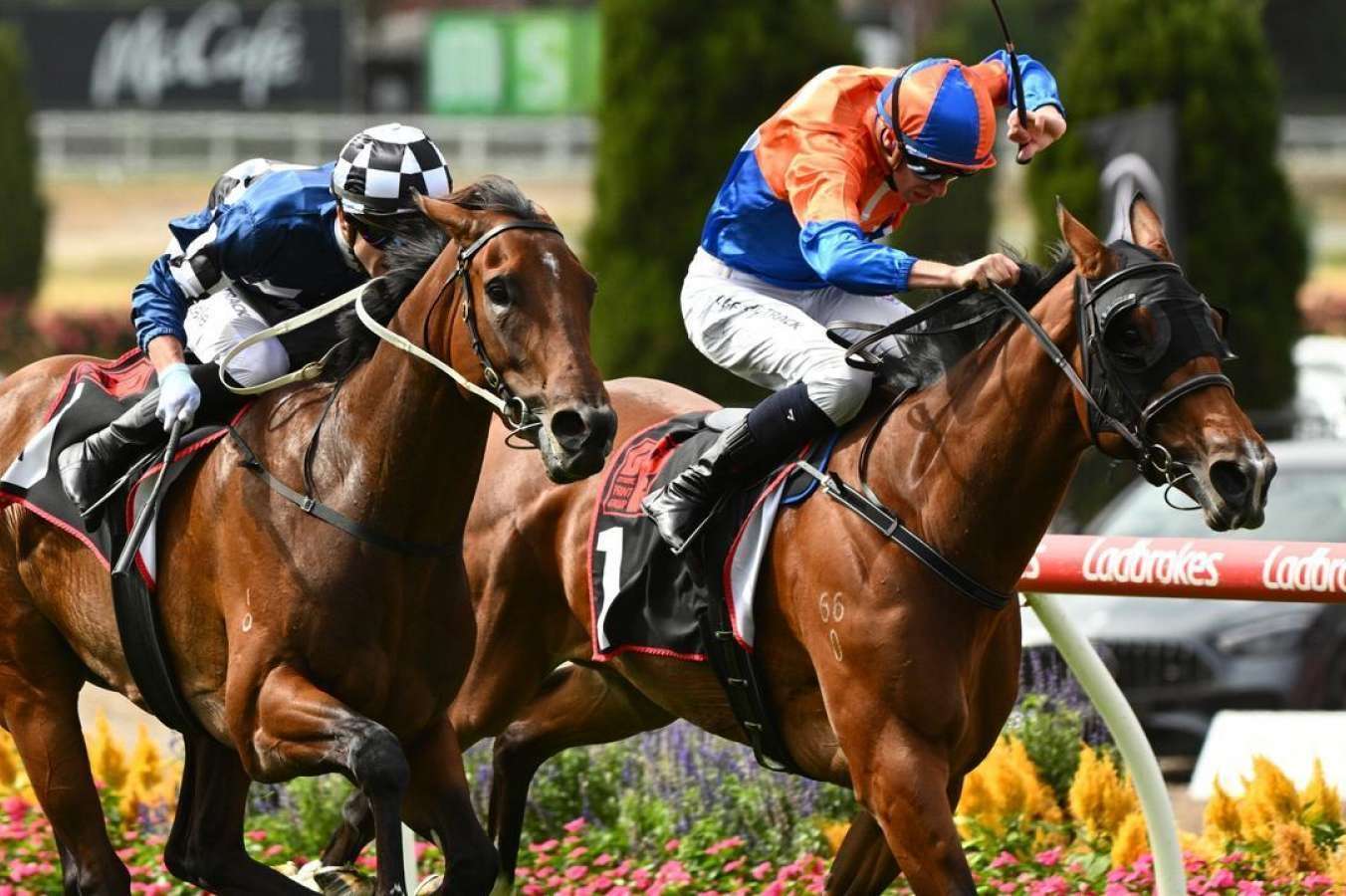 Matt Williams' Caulfield tips: $15 value bet 'can run a race'