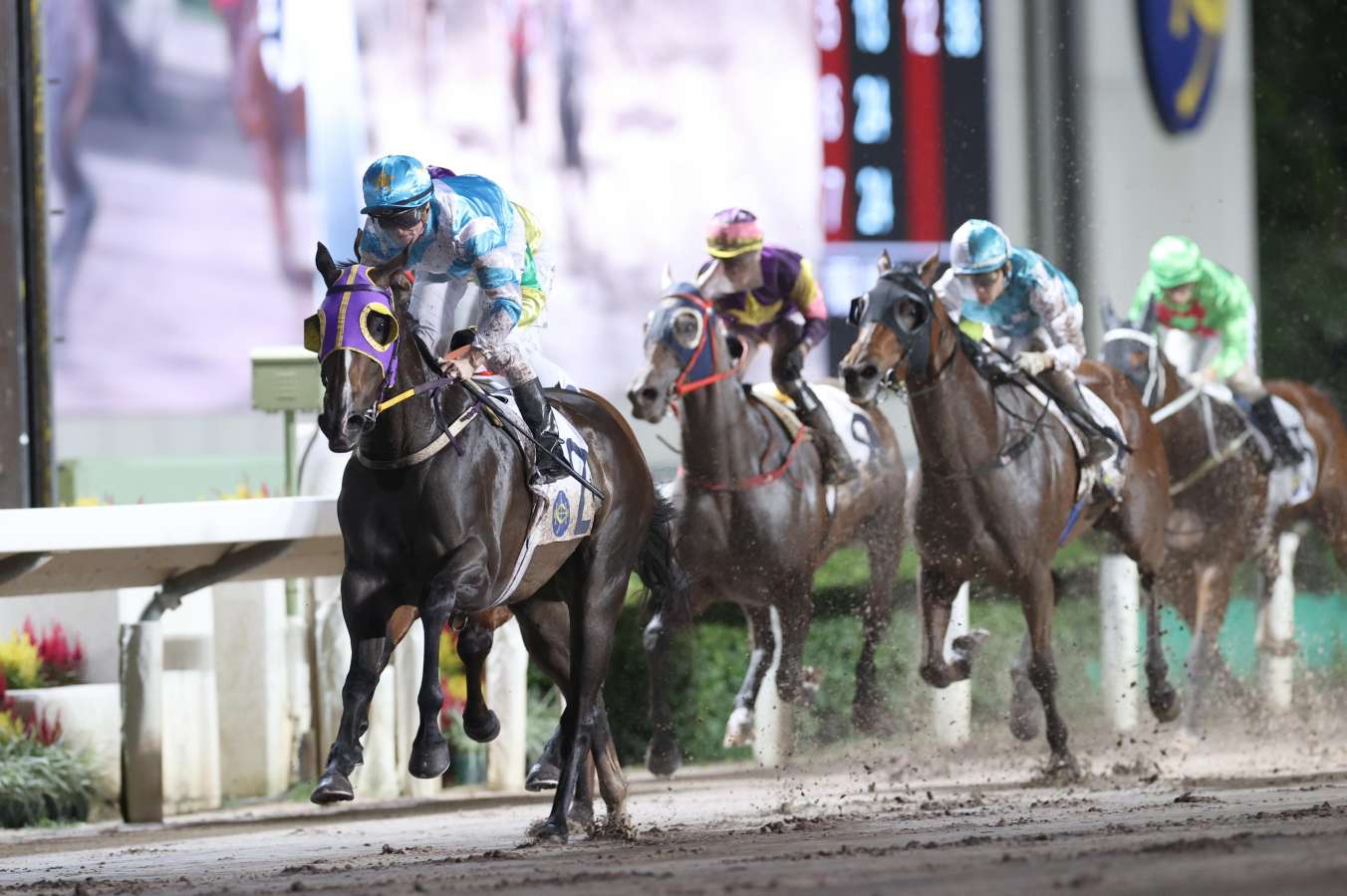 Sha Tin preview and tips: Sunday, February 18