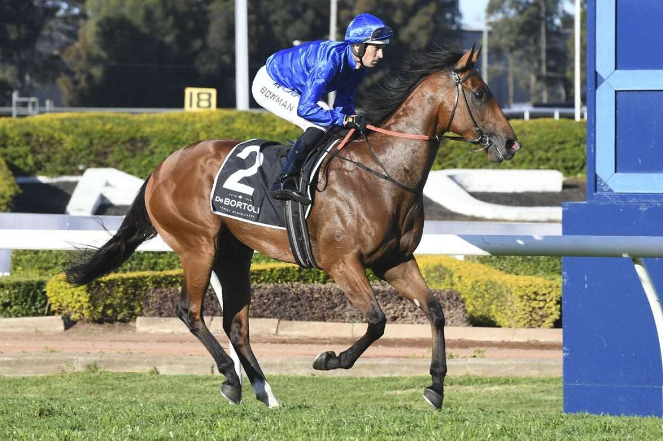 The inside word on Godolphin's runners for Doncaster Mile day