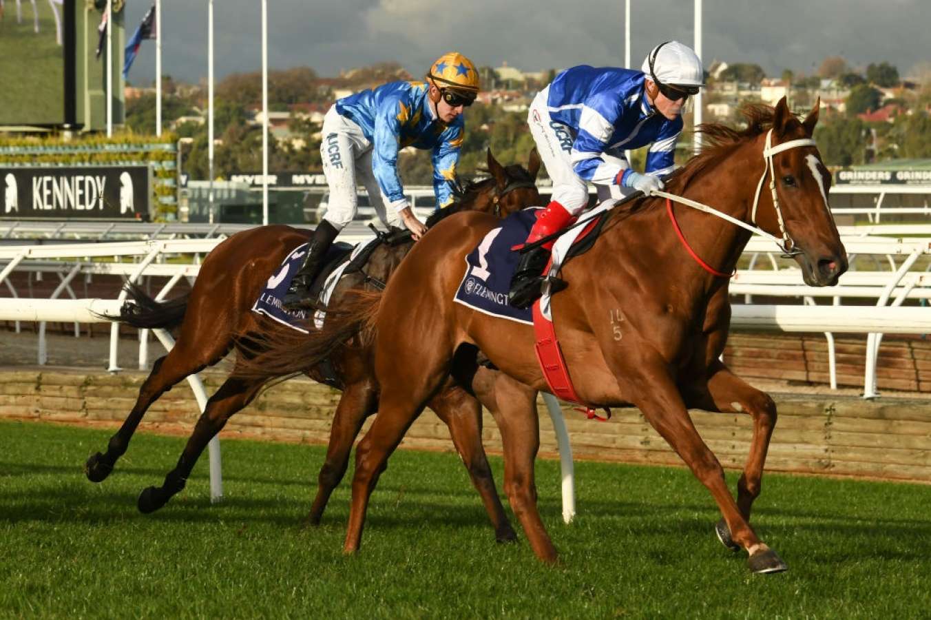 Knee injury sidelines Adelaide sprinter