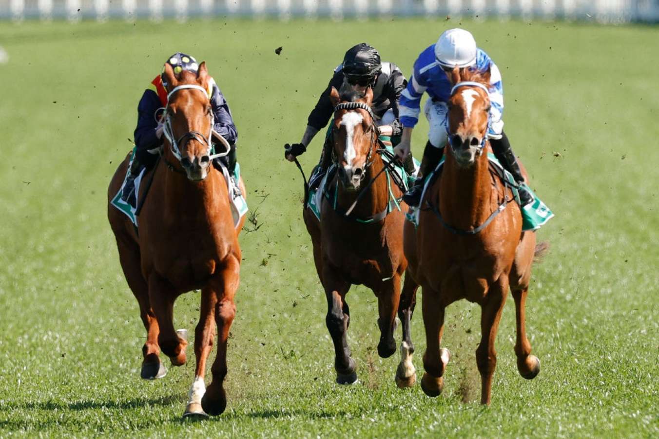 First-up curse continues for Nature Strip as Gytrash triumphs in Concorde