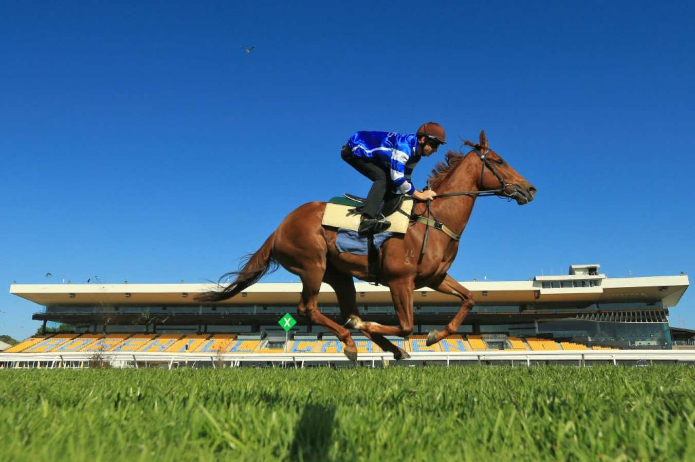 Gytrash enters unchartered waters in Yes Yes Yes Stakes