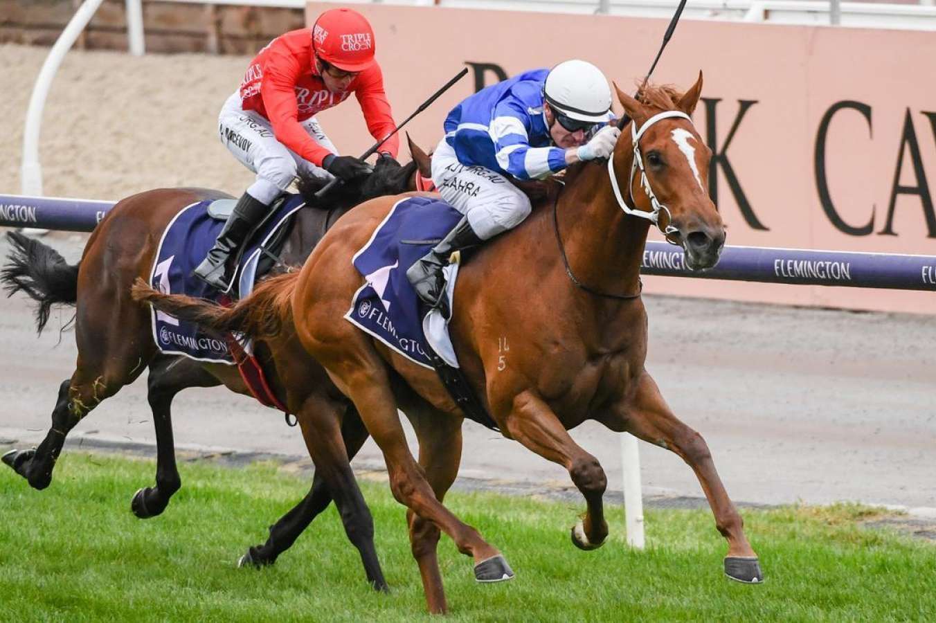 Racing SA Thorough Care program: Gytrash thrives at Simon Tolley Wines