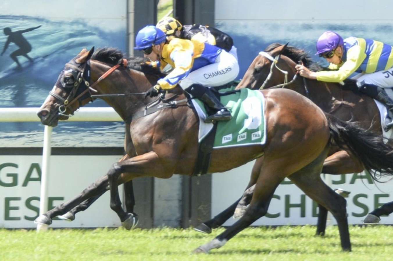 Miss Finland descendant has world at her feet