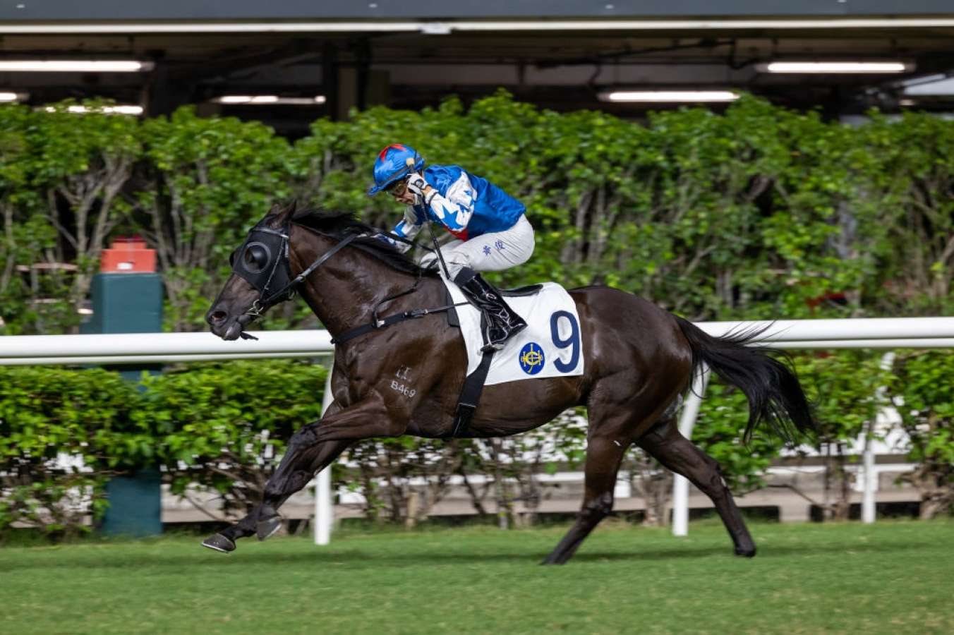 Happy Valley preview and tips: Wednesday, November 23