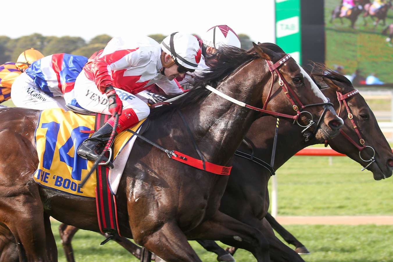 Handsome Thief gives Weir another Wangoom