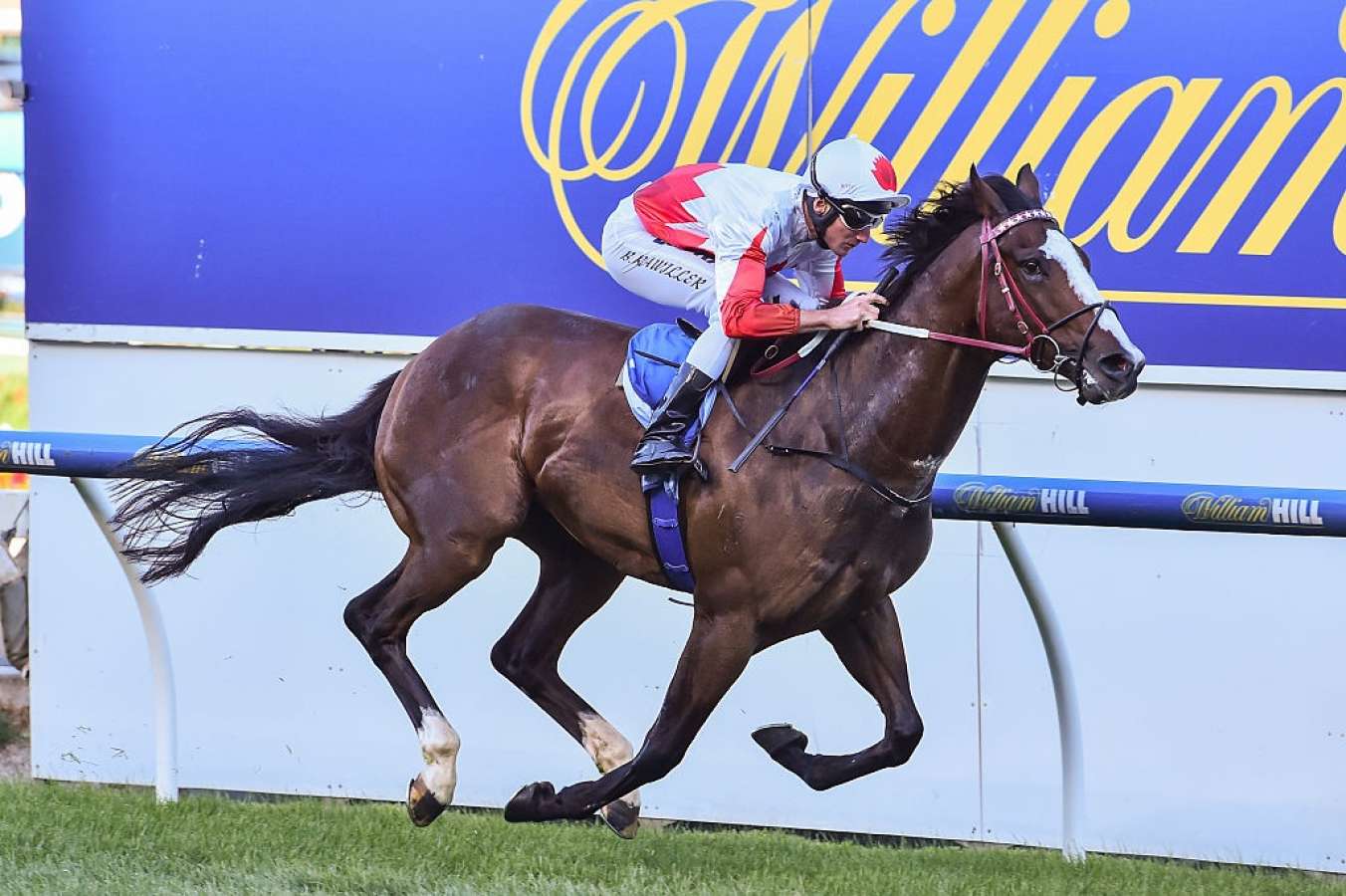 Handsome Thief on comeback trail