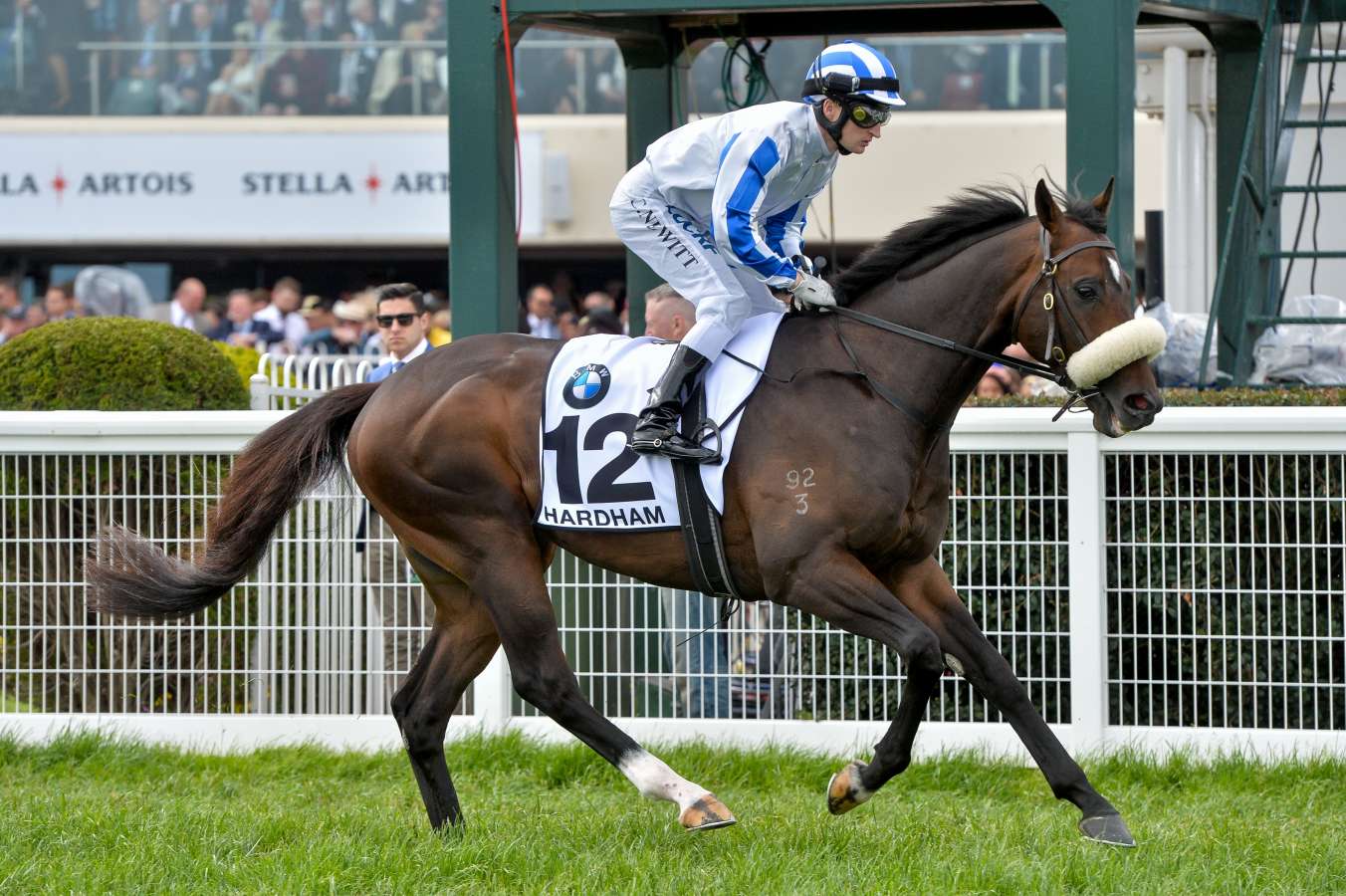 Brisbane campaign kick starts at Bendigo