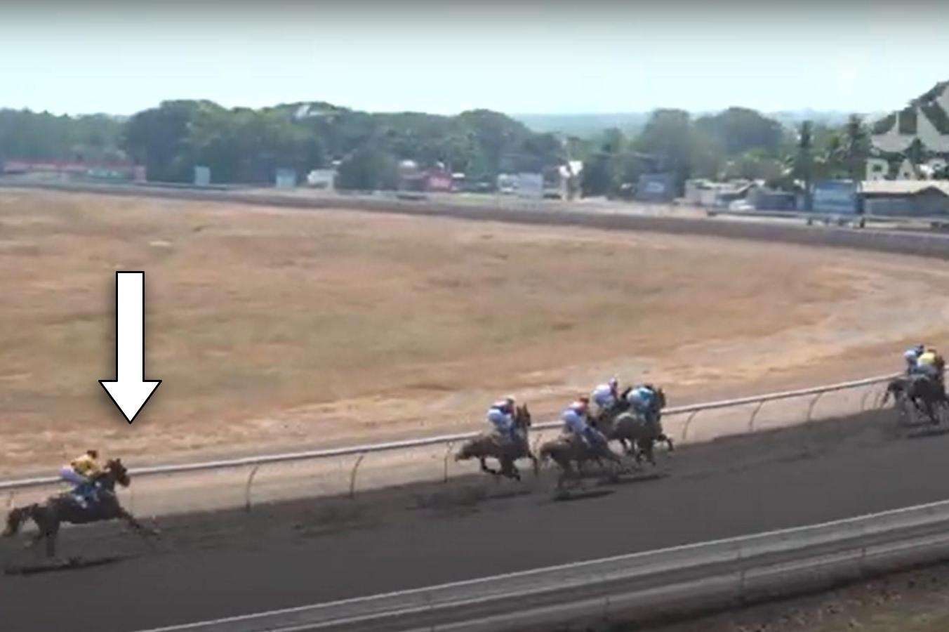 Rosalie lessard porn video planned with under two hours for