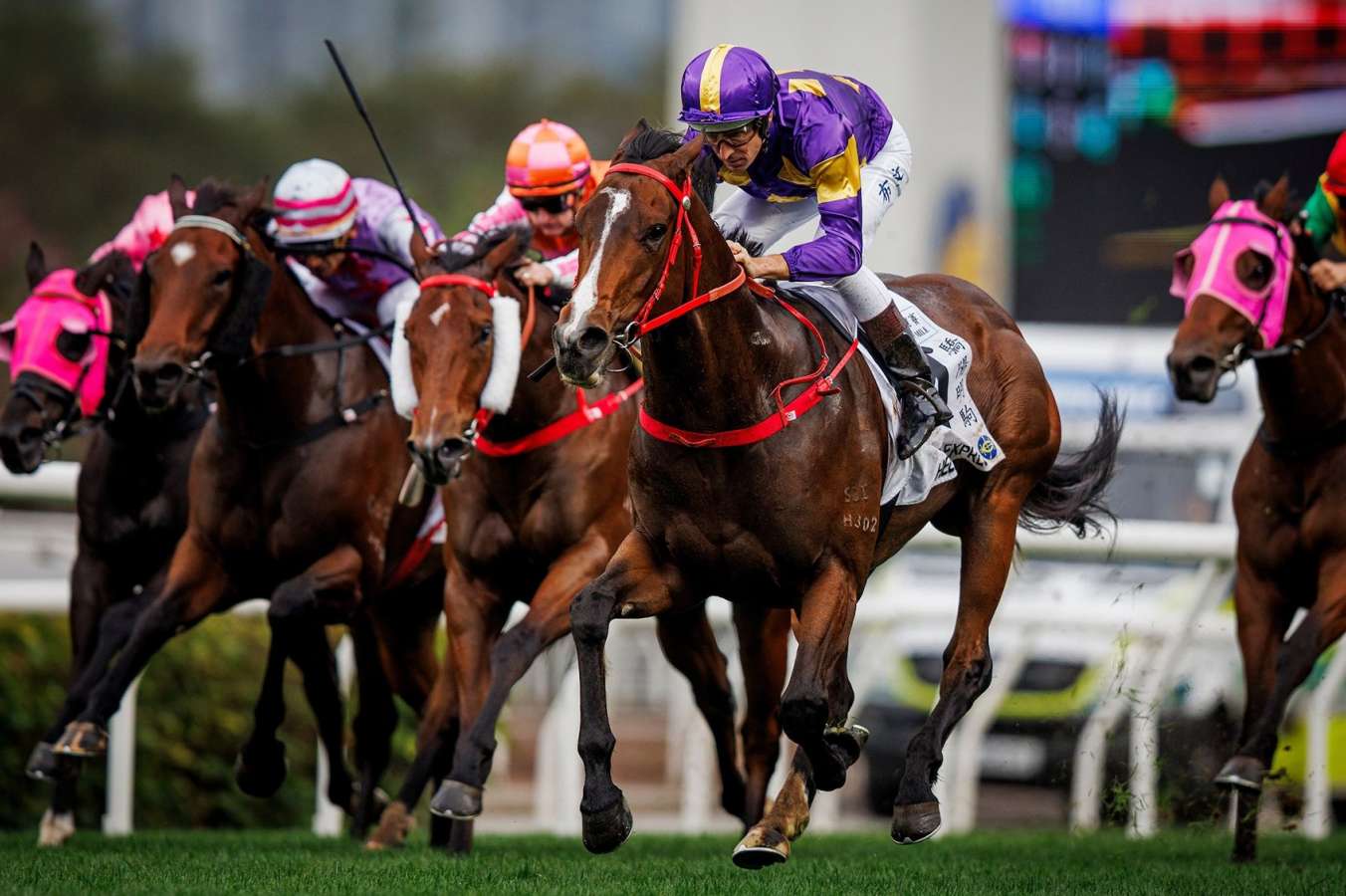 Benalla maiden winner claims Hong Kong Classic Mile at start No.8