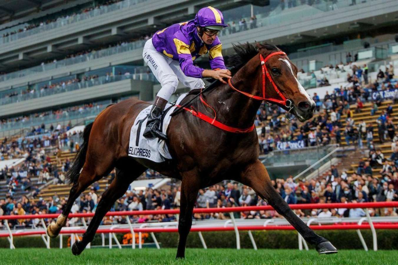 Helios Express heads 147th BMW Hong Kong Derby selected runners