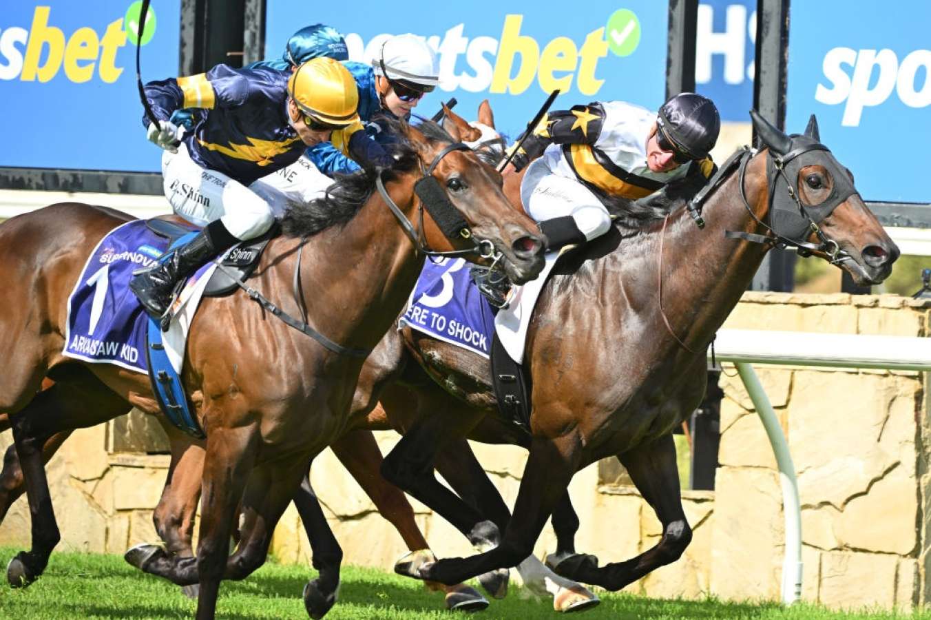 Punters post-race: Saturday racing in review [December 21]