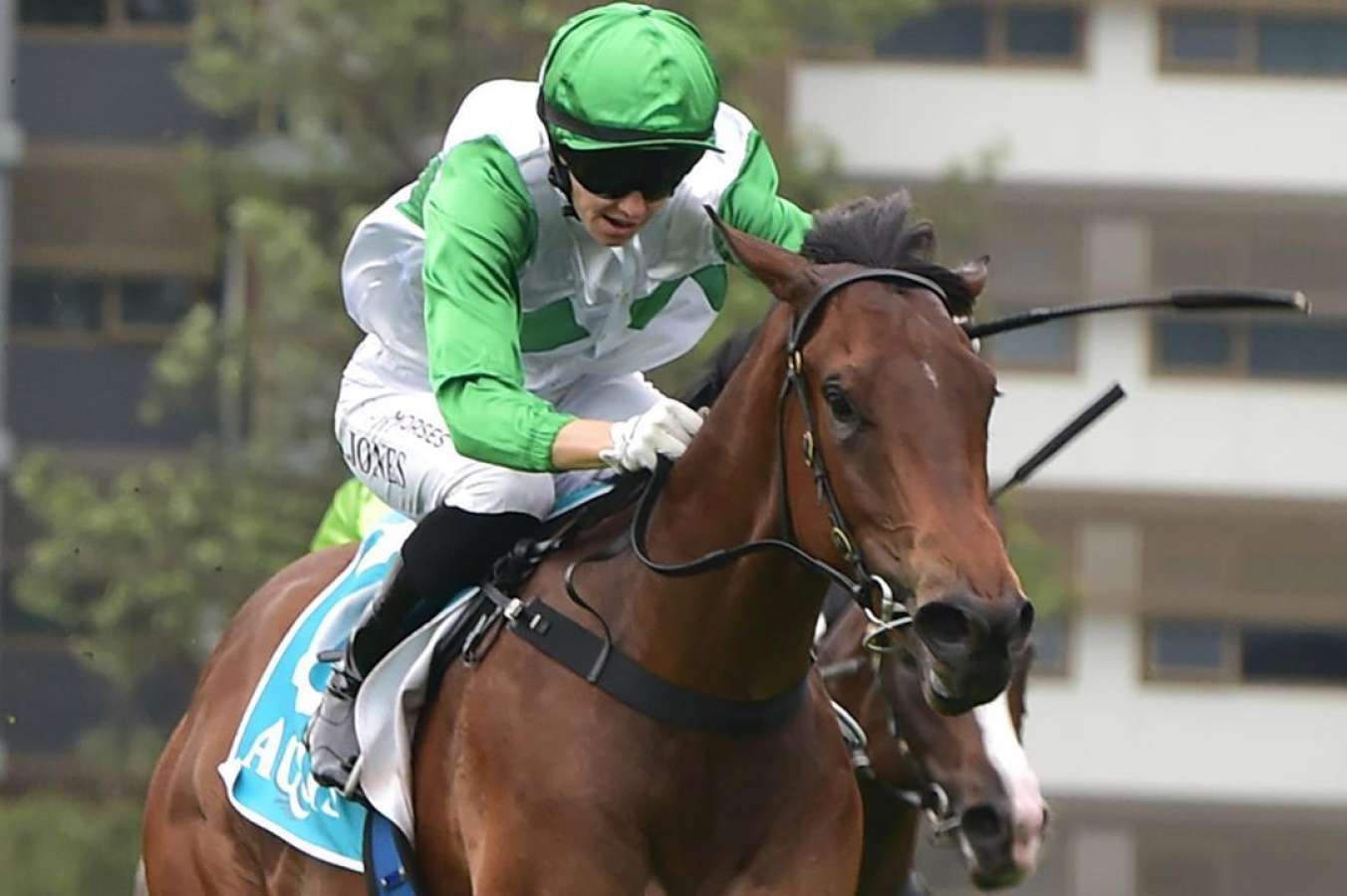 Hi Barbie passes tests ahead of Magic Millions campaign