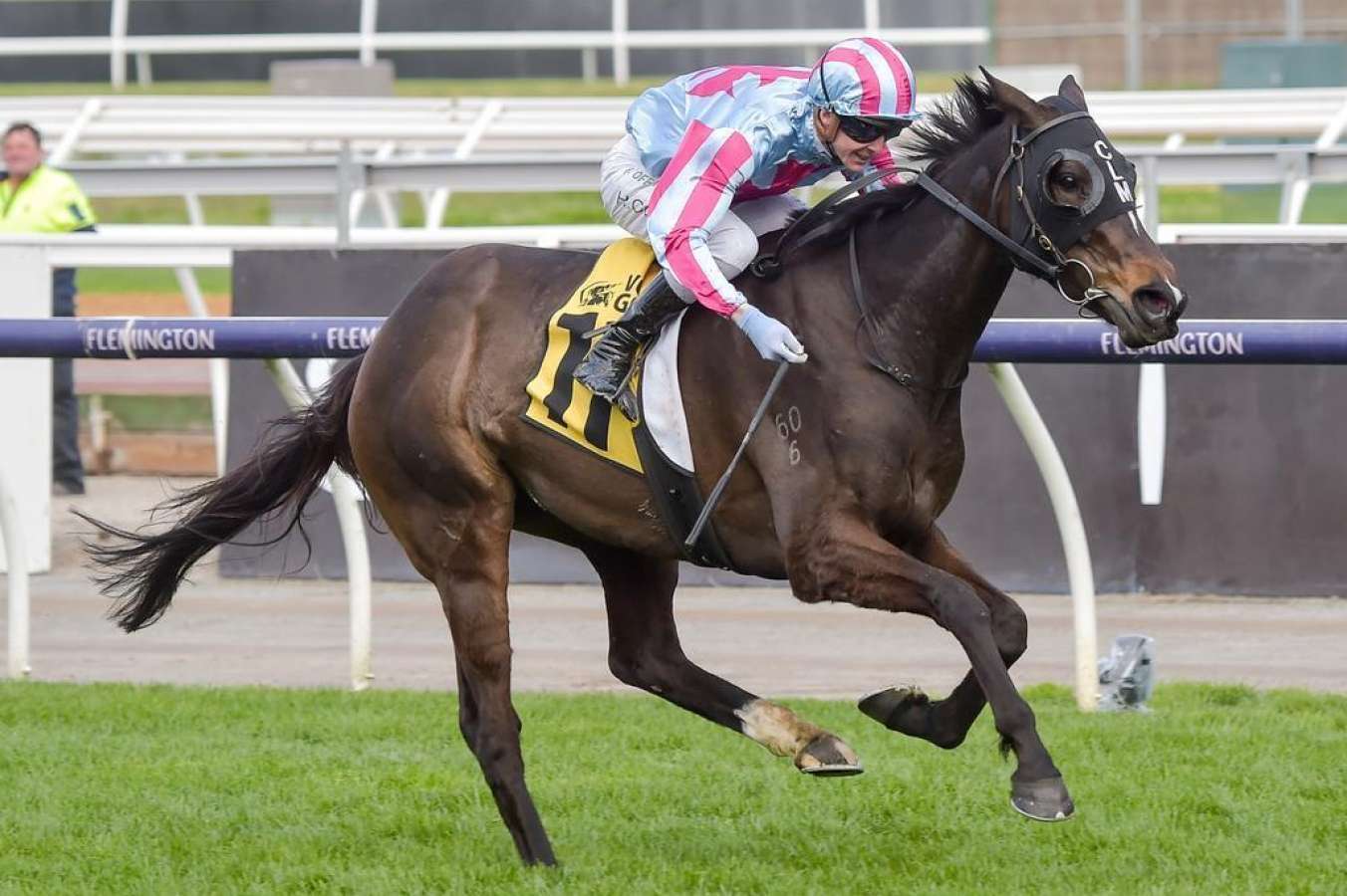 2022 Melbourne Cup placegetter retired, set to be sold