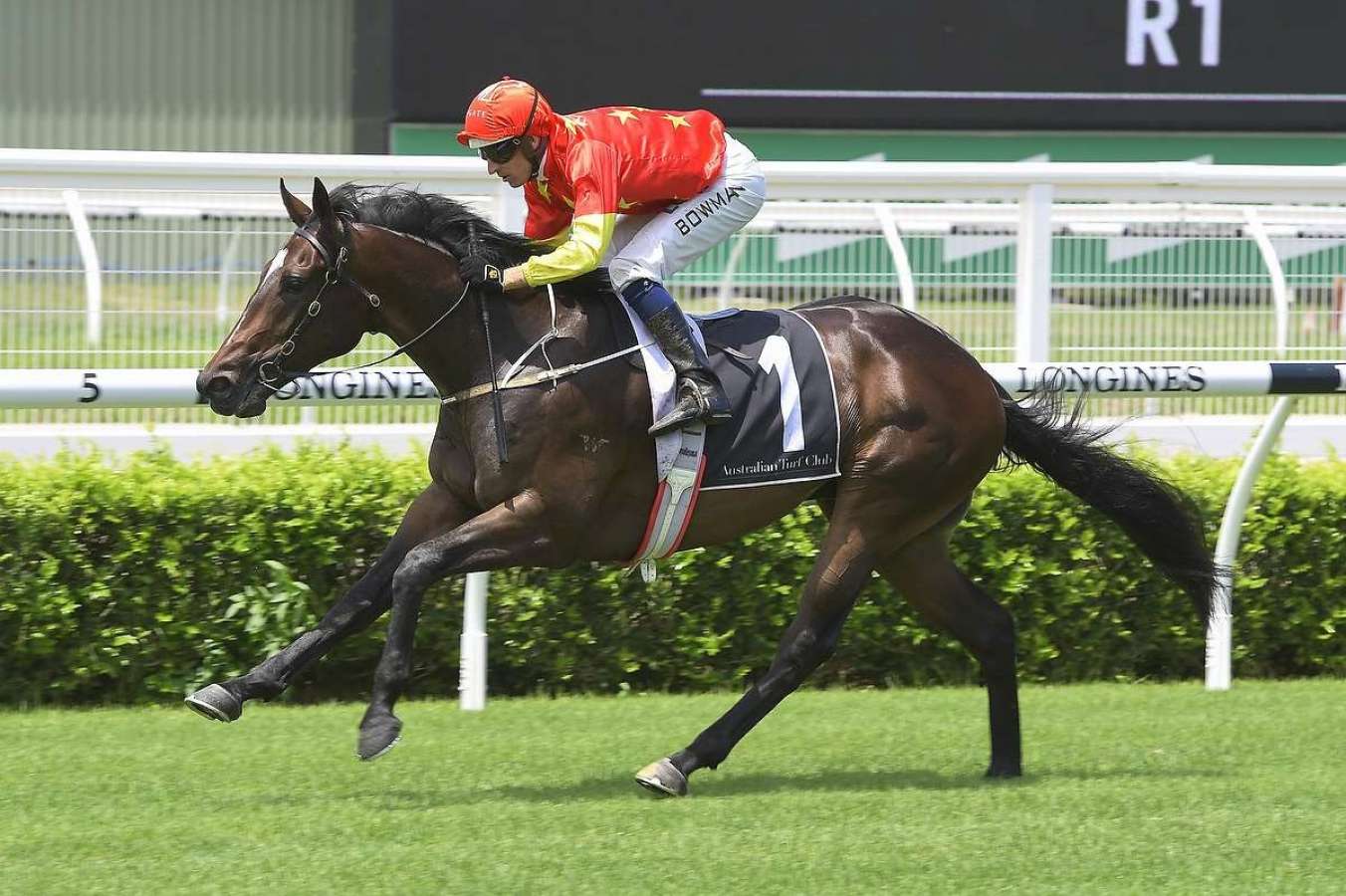 Hightail on target for Valley return
