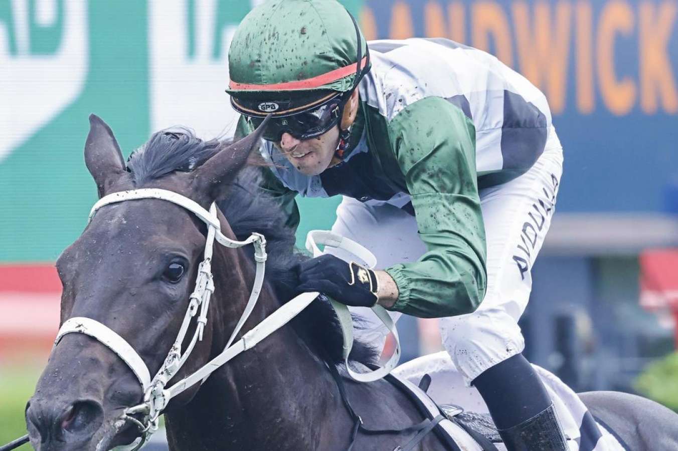 Hinged's breeder and part-owner says the mare can shock Anamoe in ...