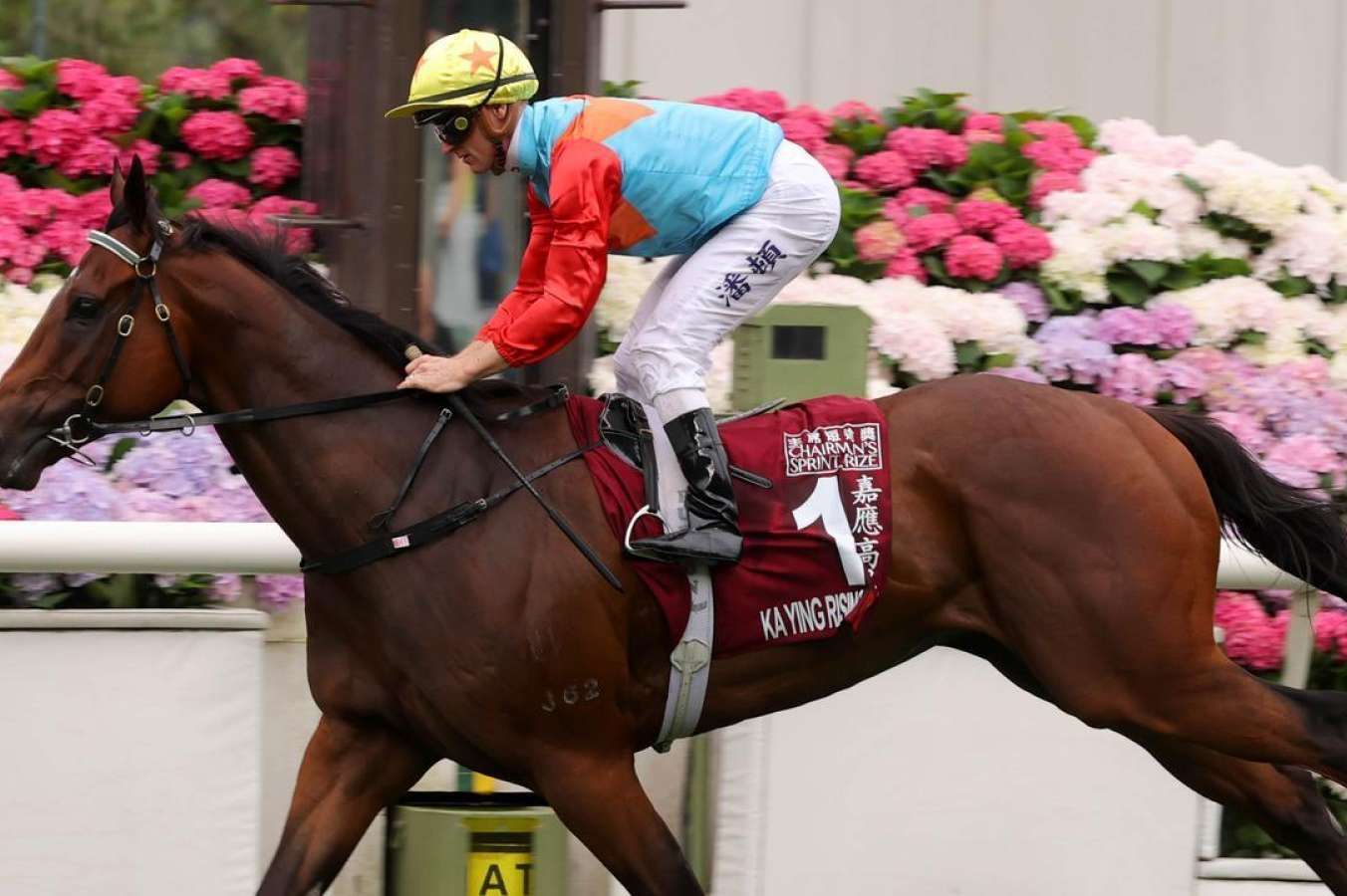 Ka Ying Rising set for Sydney spring double as slot decision looms