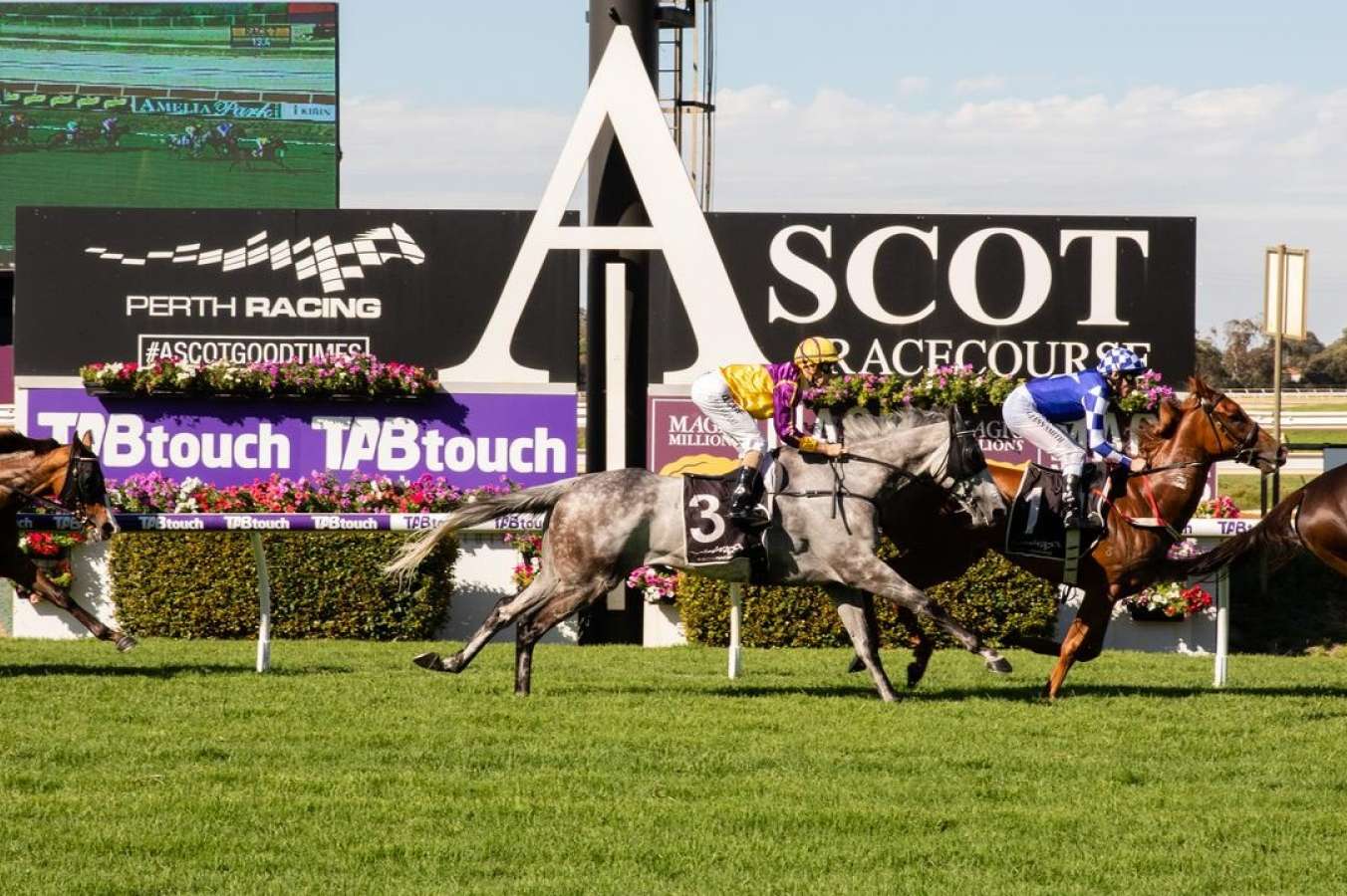 Perth Cup abandoned mid-race after early fall