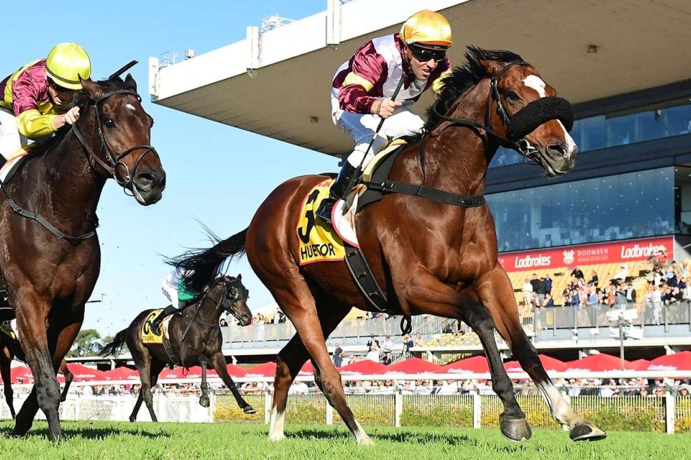 Runner-by runner analysis: Group 1 Doomben Cup