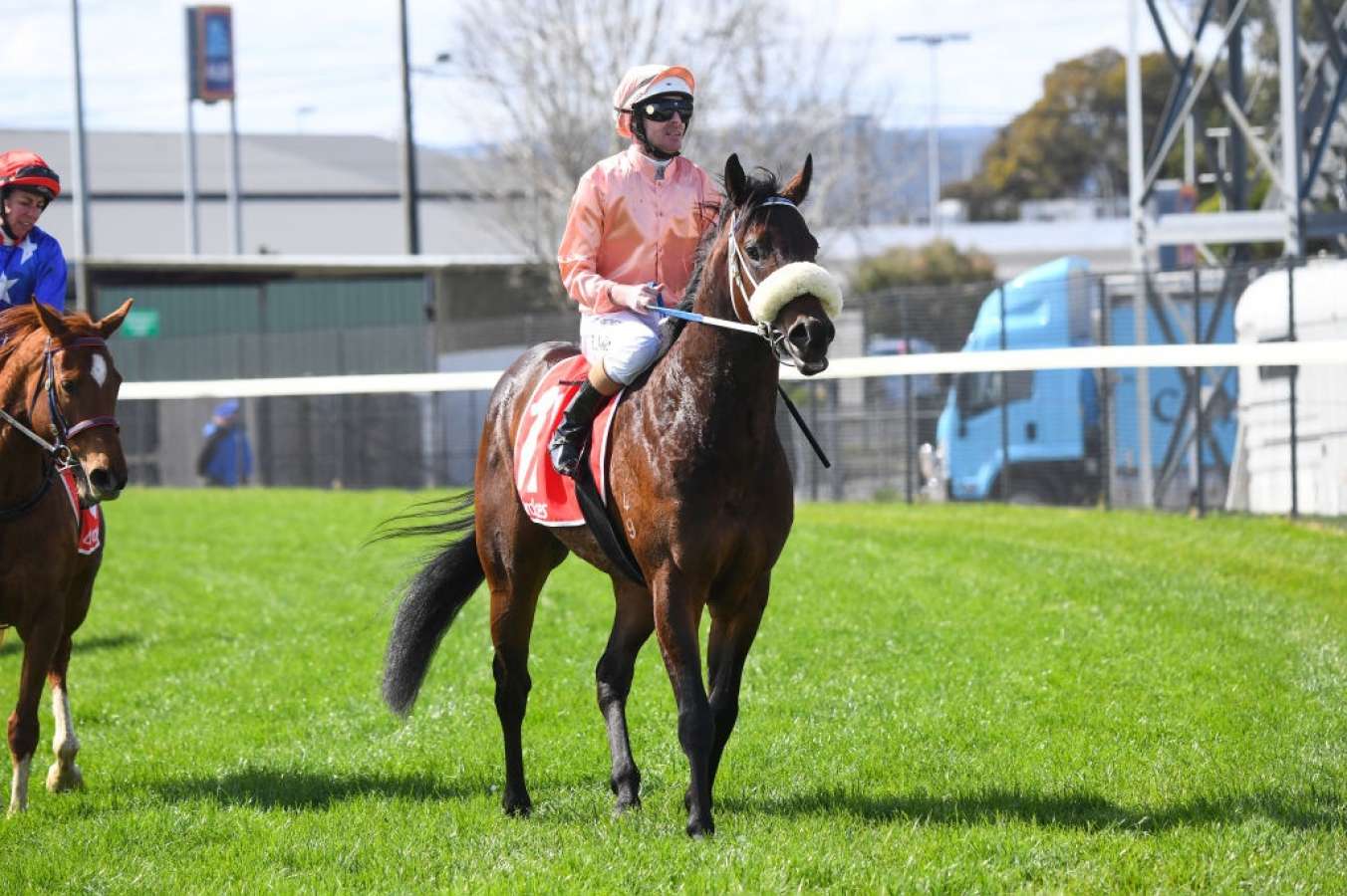Son of Black Caviar fails to fire on debut at Moe as hot favourite