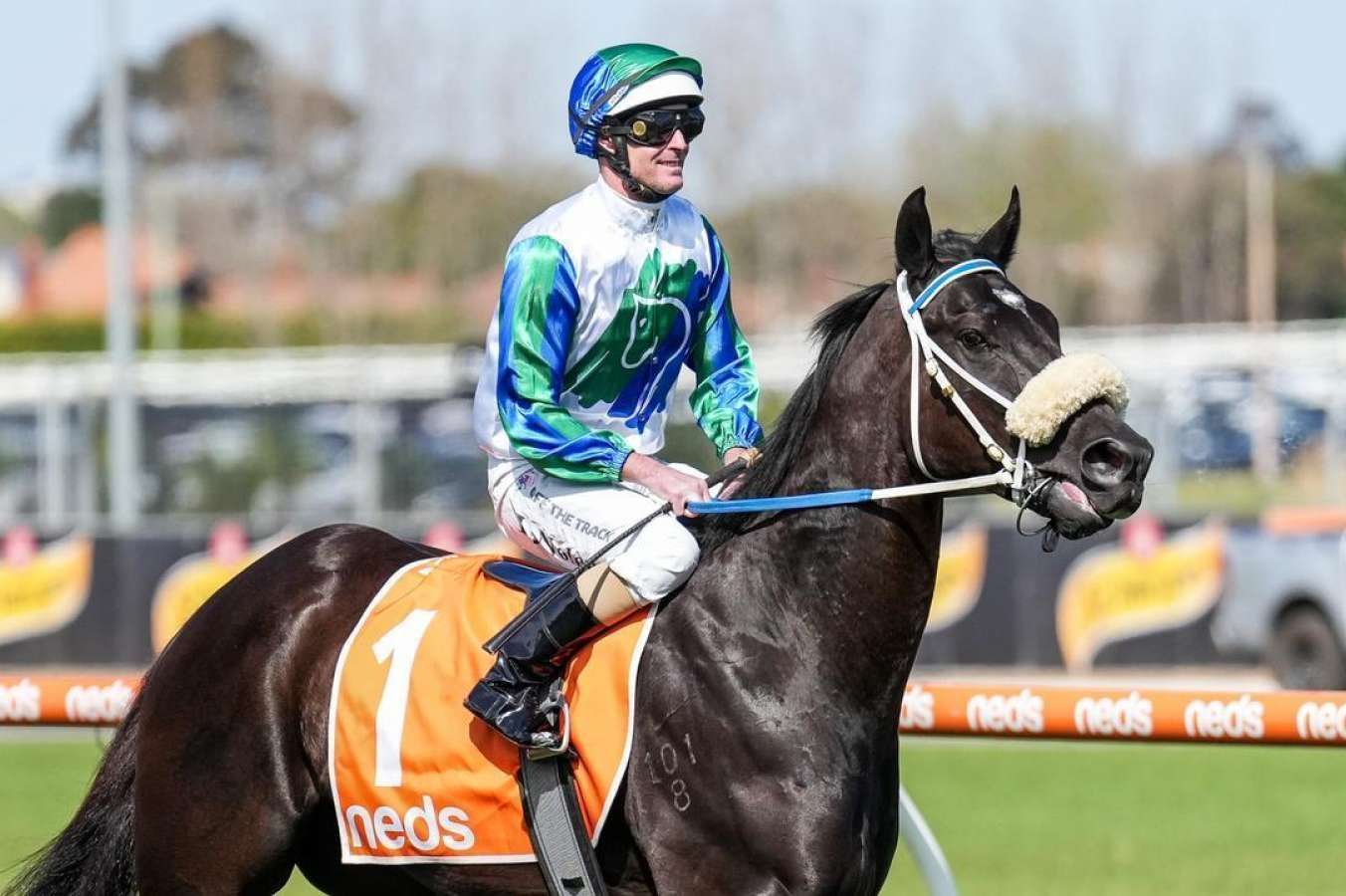 Runner-by runner analysis: TJ Smith Stakes