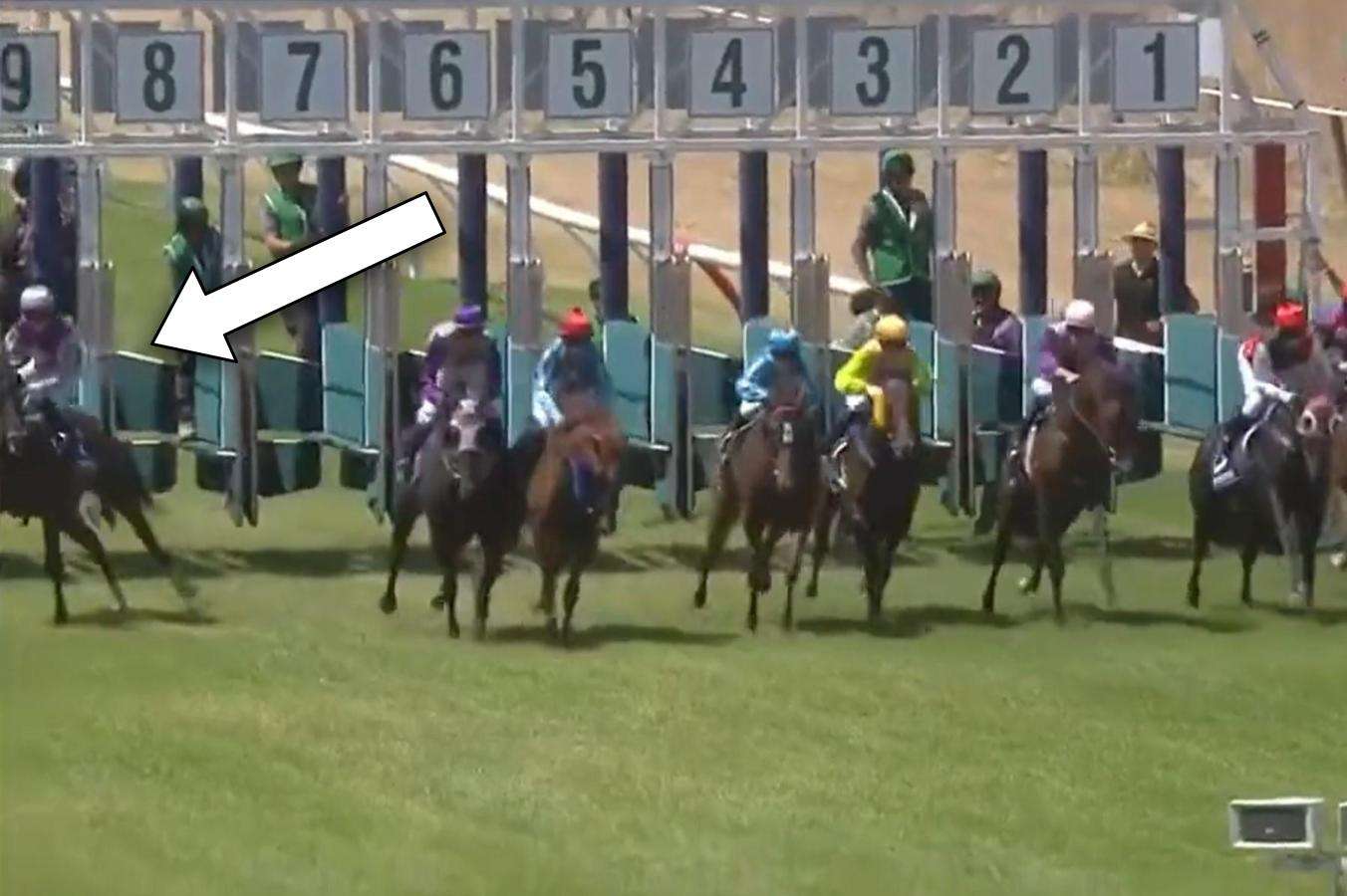 Veteran wins after bombing the start by 10 lengths