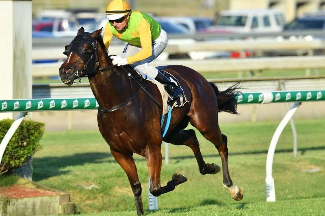 Rippa ready for Doomben back-up